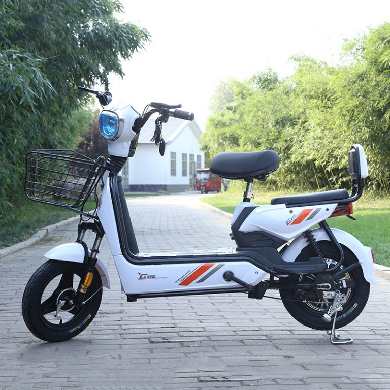 Two-wheeled electric vehicle mini moped wholesale