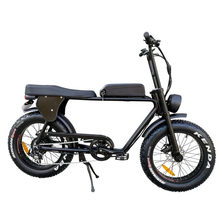 2 seater electric bike with foot rest