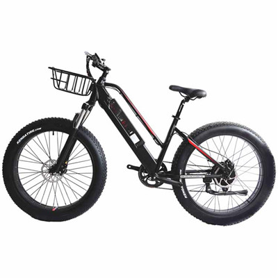 Wholesale Electric Bicycle Europe For Sale