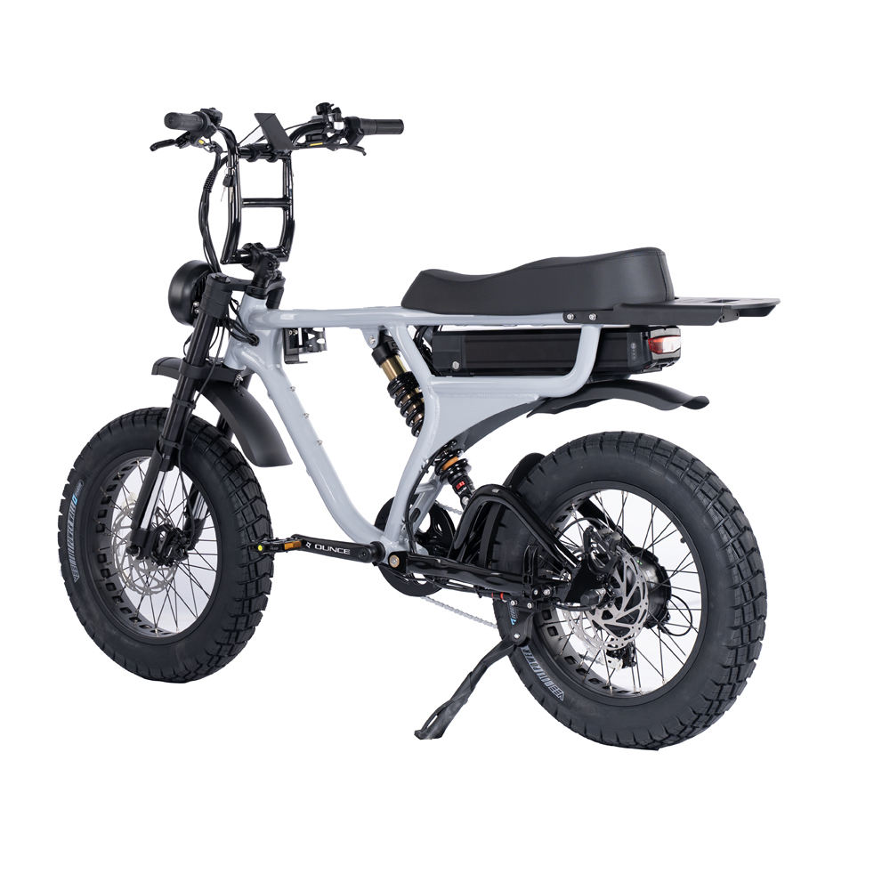20 Inch Full Suspension Hybrid City Mountain Electric Bike