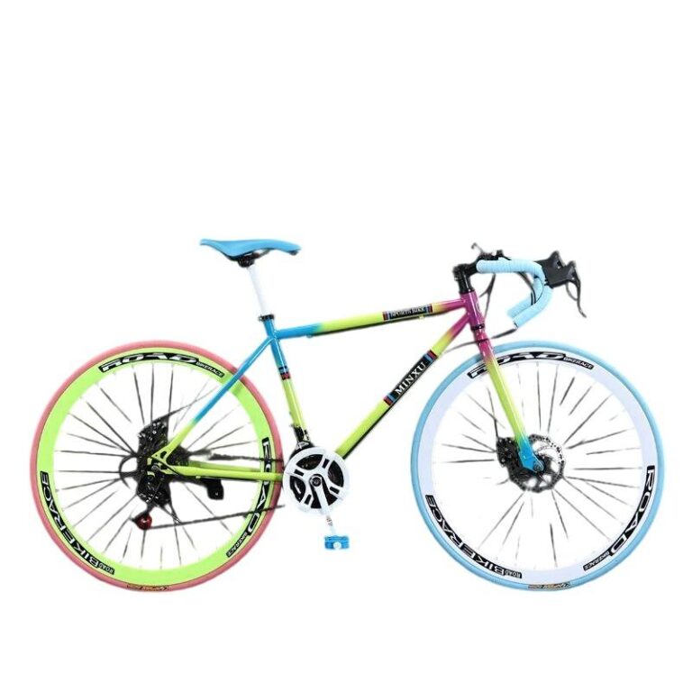 Custom 21-Speed Lightweight Steel Frame Dual Disc City Road Bike