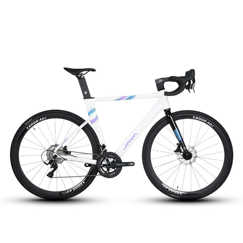 Carbon Fiber Professional Road Bike High Performance Manufacturer