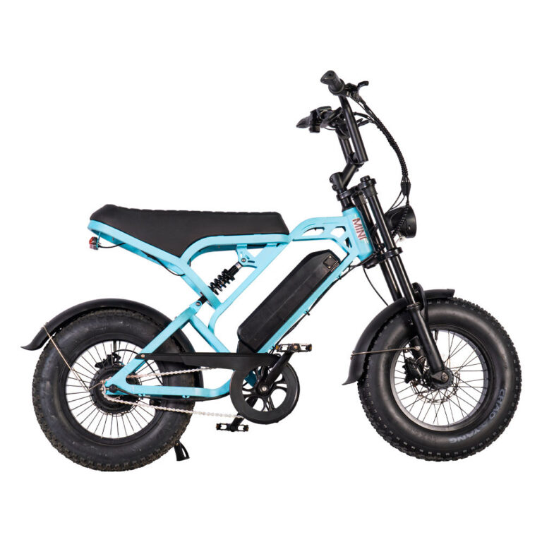 Custom Mini 250W 16 Inch Fat Tire Electric Bike for Adults