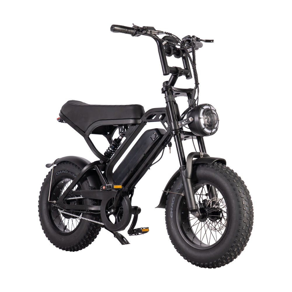 Custom Mini 250W 16 Inch Fat Tire Electric Bike for Adults